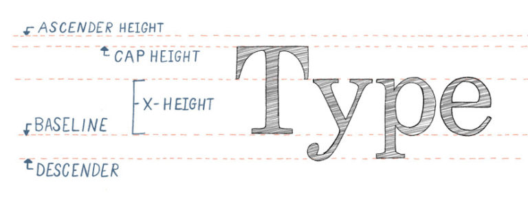 The Anatomy of Typography - iPad Calligraphy
